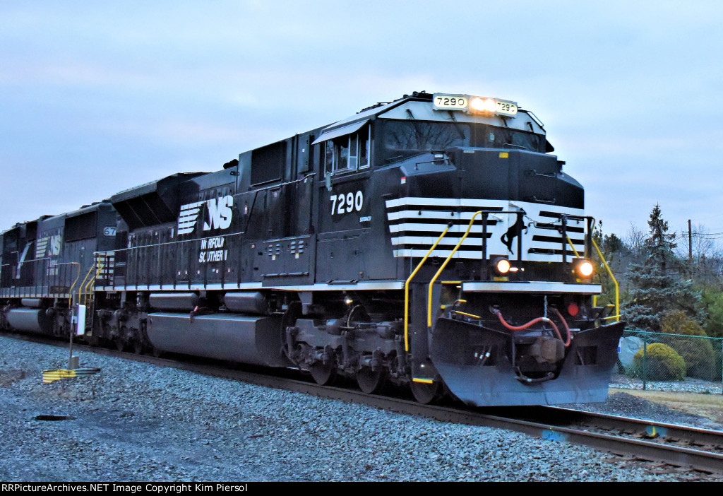 NS 7290